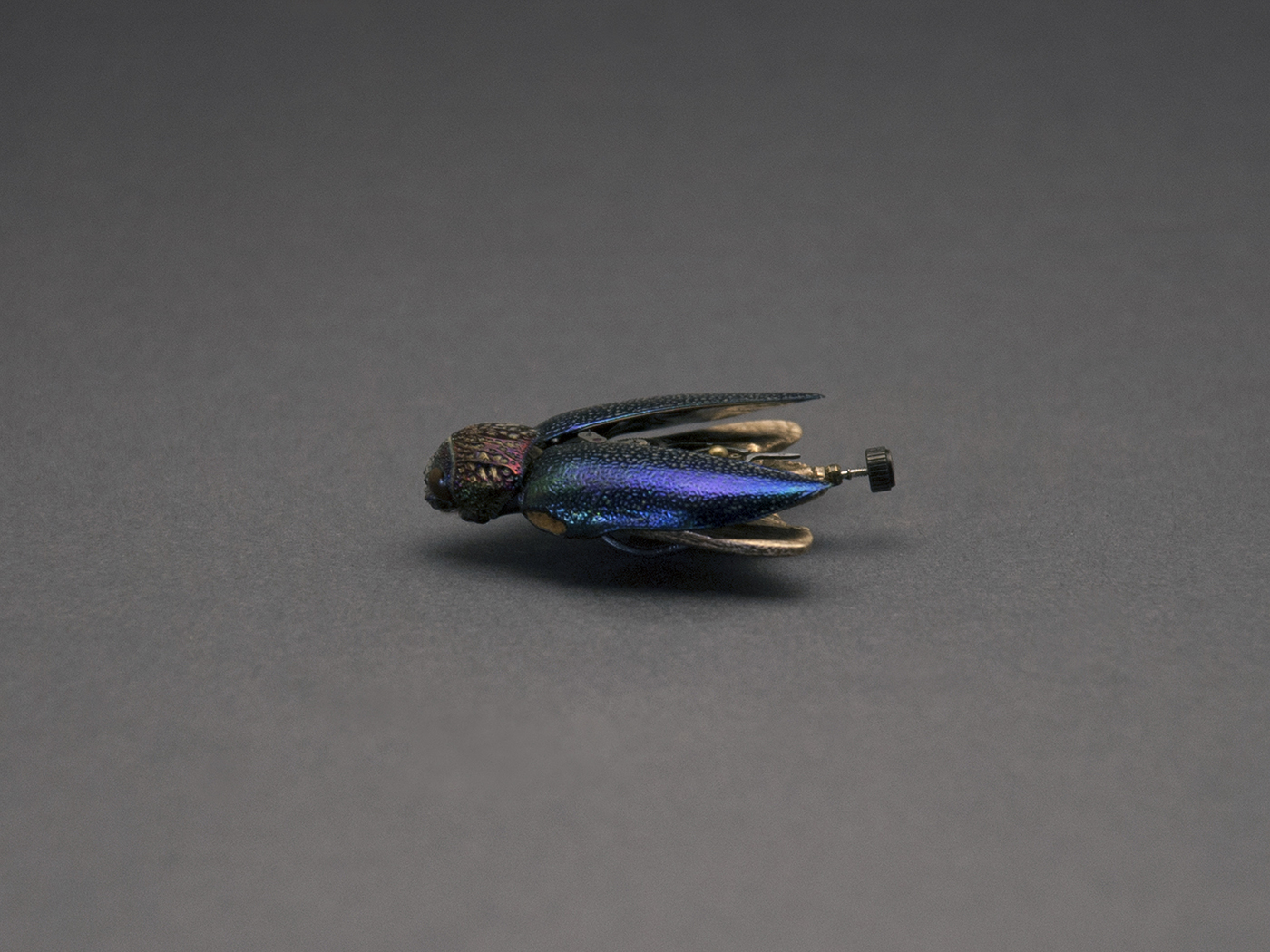 Blue Dart Pin - Insect Lab Studio
